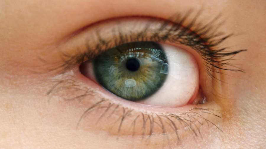 Known Steps to Maintain Macular Health – Eye Surgeons & Consultants ...